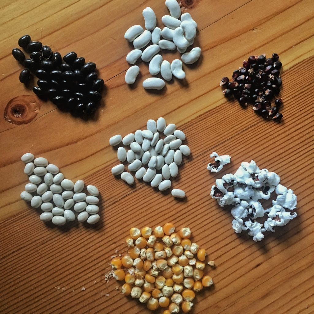 Crop Sales – Production and Consulting