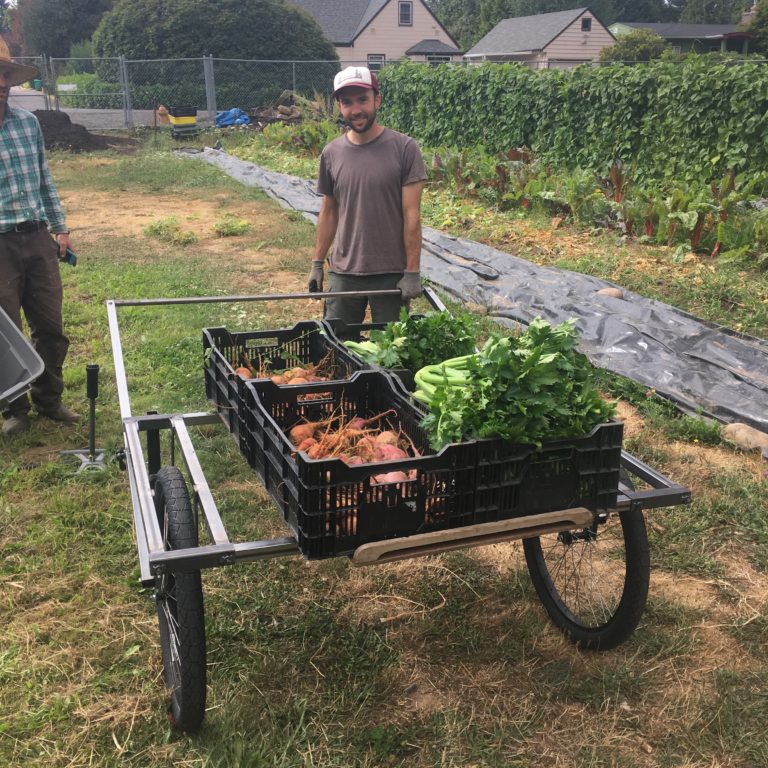 Farm Hand Carts – Production and Consulting
